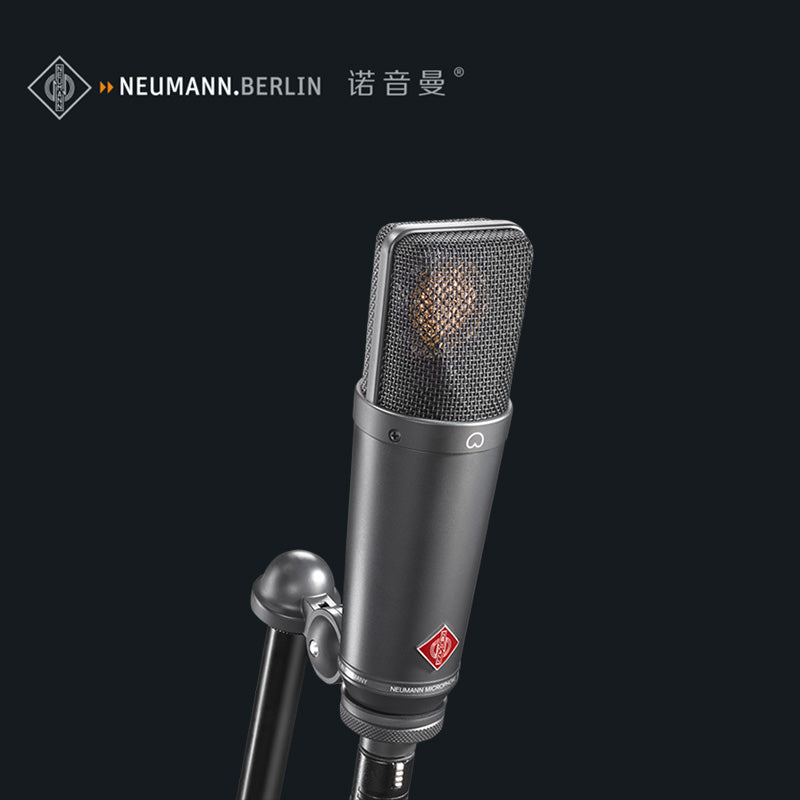 Neumann Studio Microphone TLM 193 – Global Sound Int'l Limited